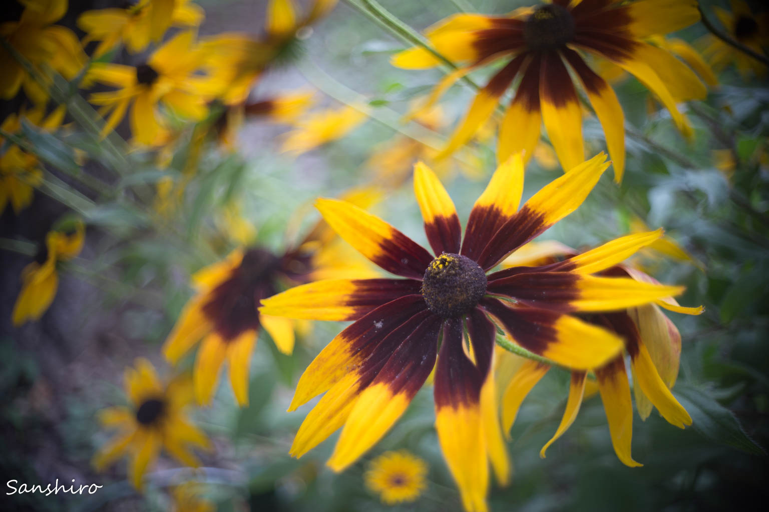 KMZ HELIOS-33 2/35 － ヘリオス33 2/35