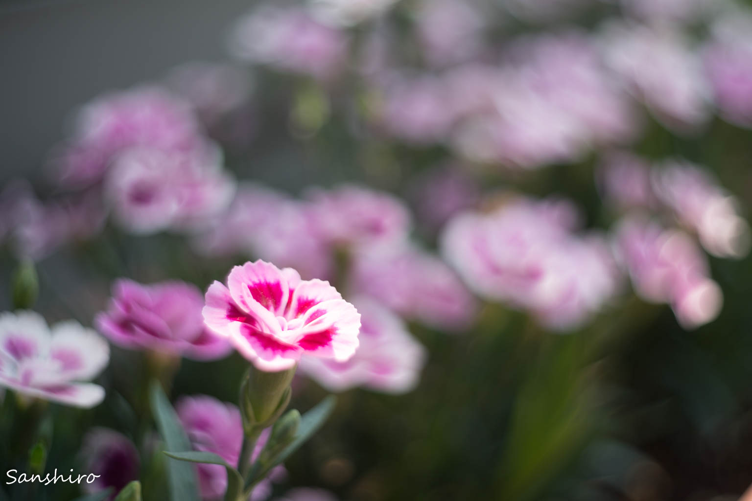 KMZ HELIOS-33 2/35 － ヘリオス33 2/35